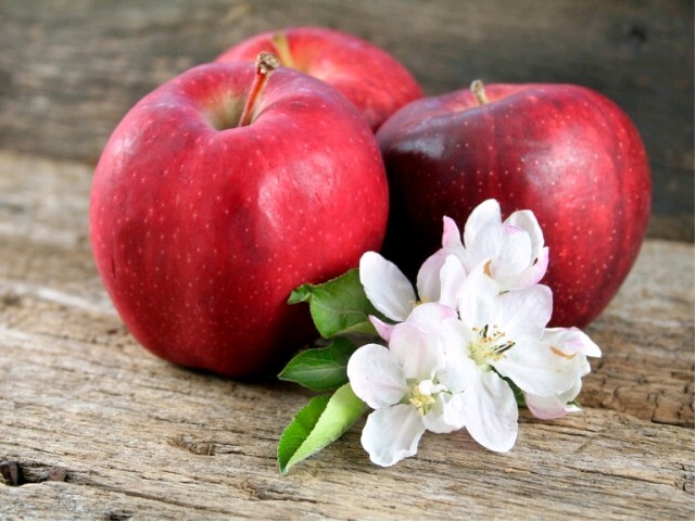 Ovocné stromy a keře :: www.zahradnicentrum-svab.eu